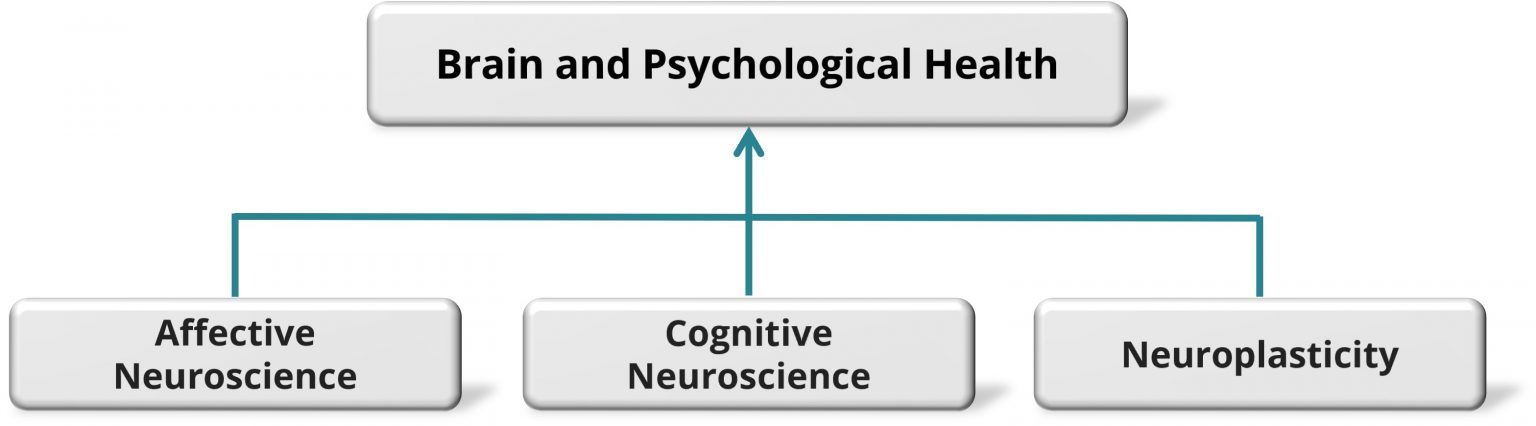 sklbrain – State Key Laboratory of Brain and Cognitive Sciences