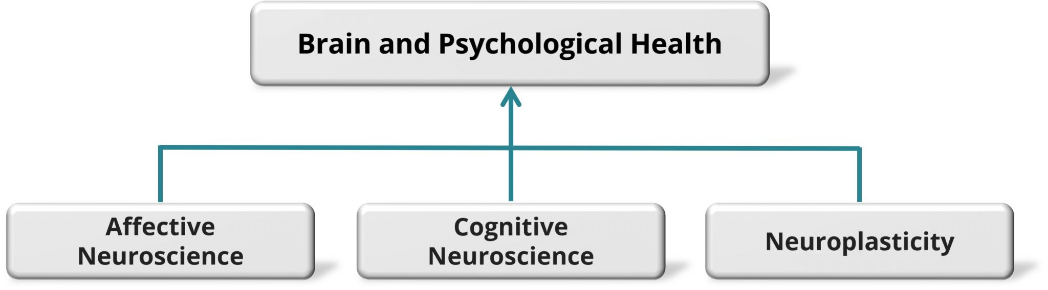 sklbrain – State Key Laboratory of Brain and Cognitive Sciences