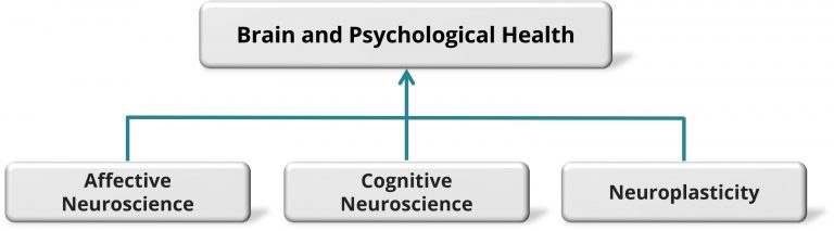 sklbrain – State Key Laboratory of Brain and Cognitive Sciences